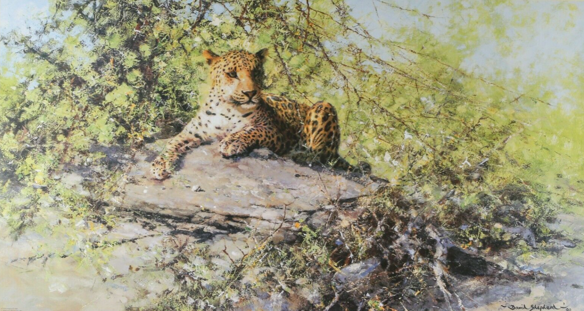David Shepherd 'The Sentinel' Limited Edition Leopard Print 997/1500 ...