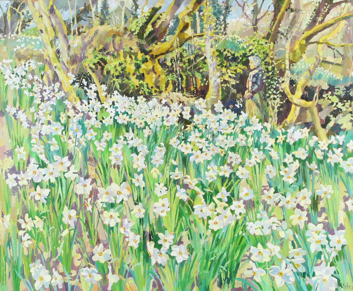Mary Martin 'Narcissi By Quarry' 1986 Floral Flower Study, Oil Painting ...