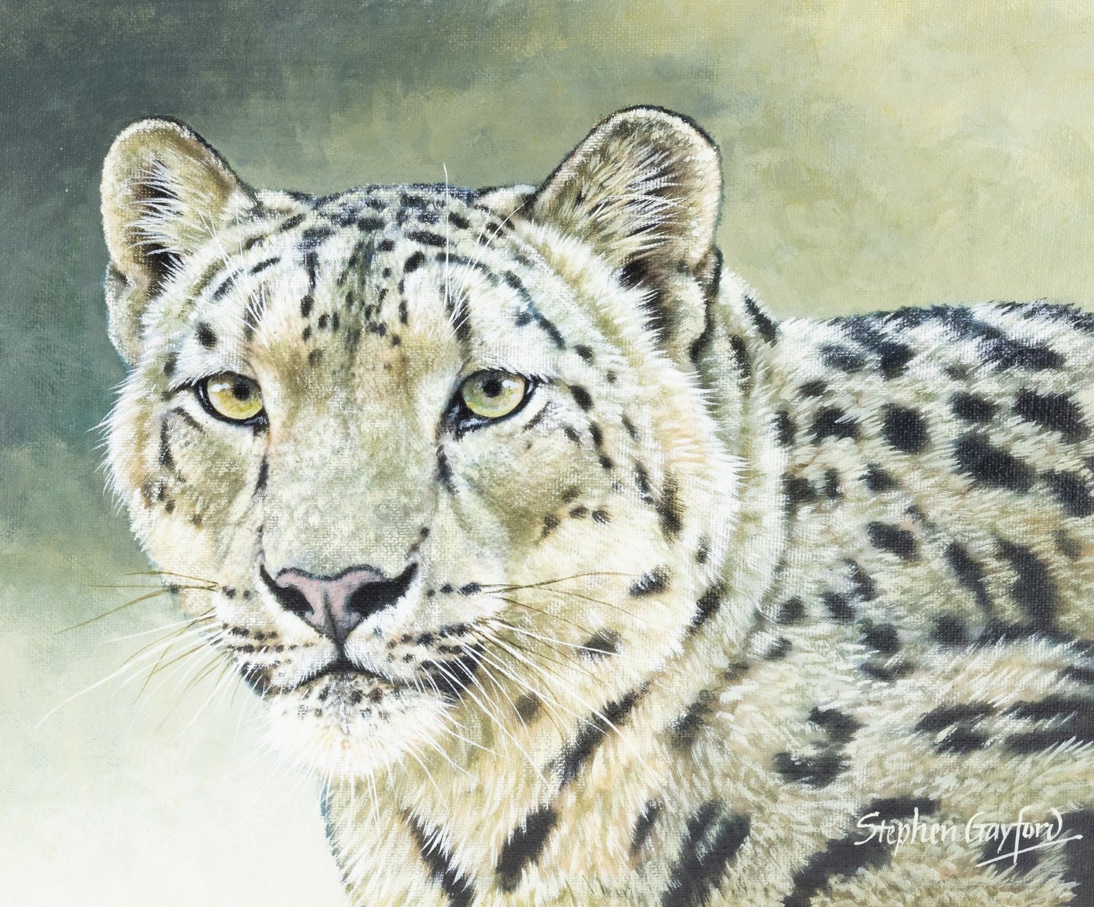 Stephen Gayford 'Himalayan Spirit' Snow Leopard Original Acrylic ...