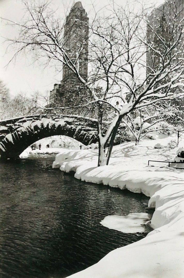 Alfred Eisenstaedt -Cental Park, New York, 1959- Photo Gelatin Silver ...