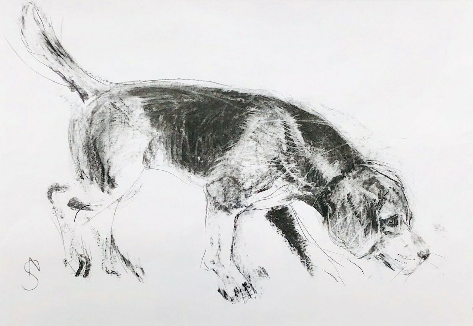 April Shepherd — PM Antiques & Collectables