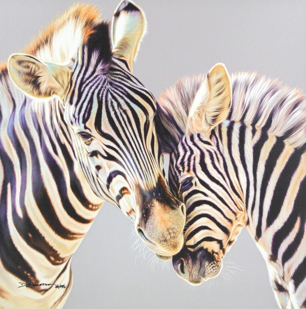 Darryn Eggleton (B.1981) -Tender Touch- Zebras Limited Edition Print 36 ...