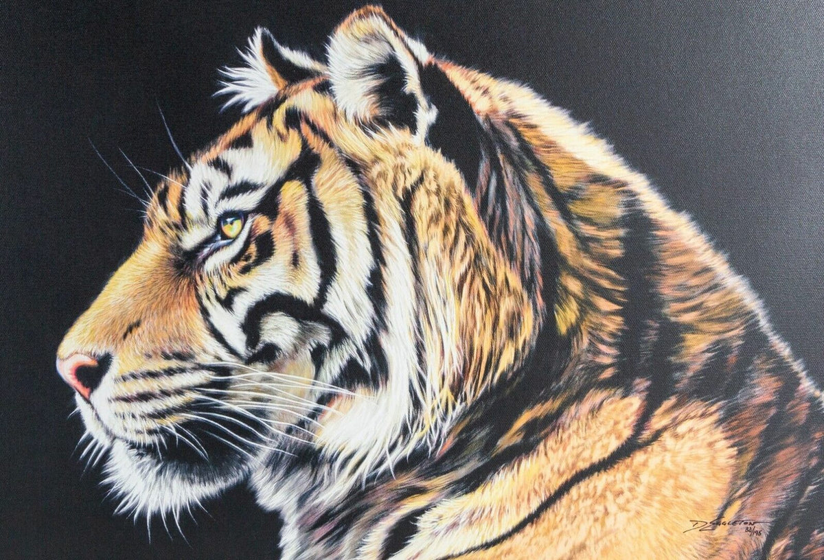 Darryn Eggleton (B.1981) -Wild Side Ii- Tiger Limited Edition Print, 32 ...
