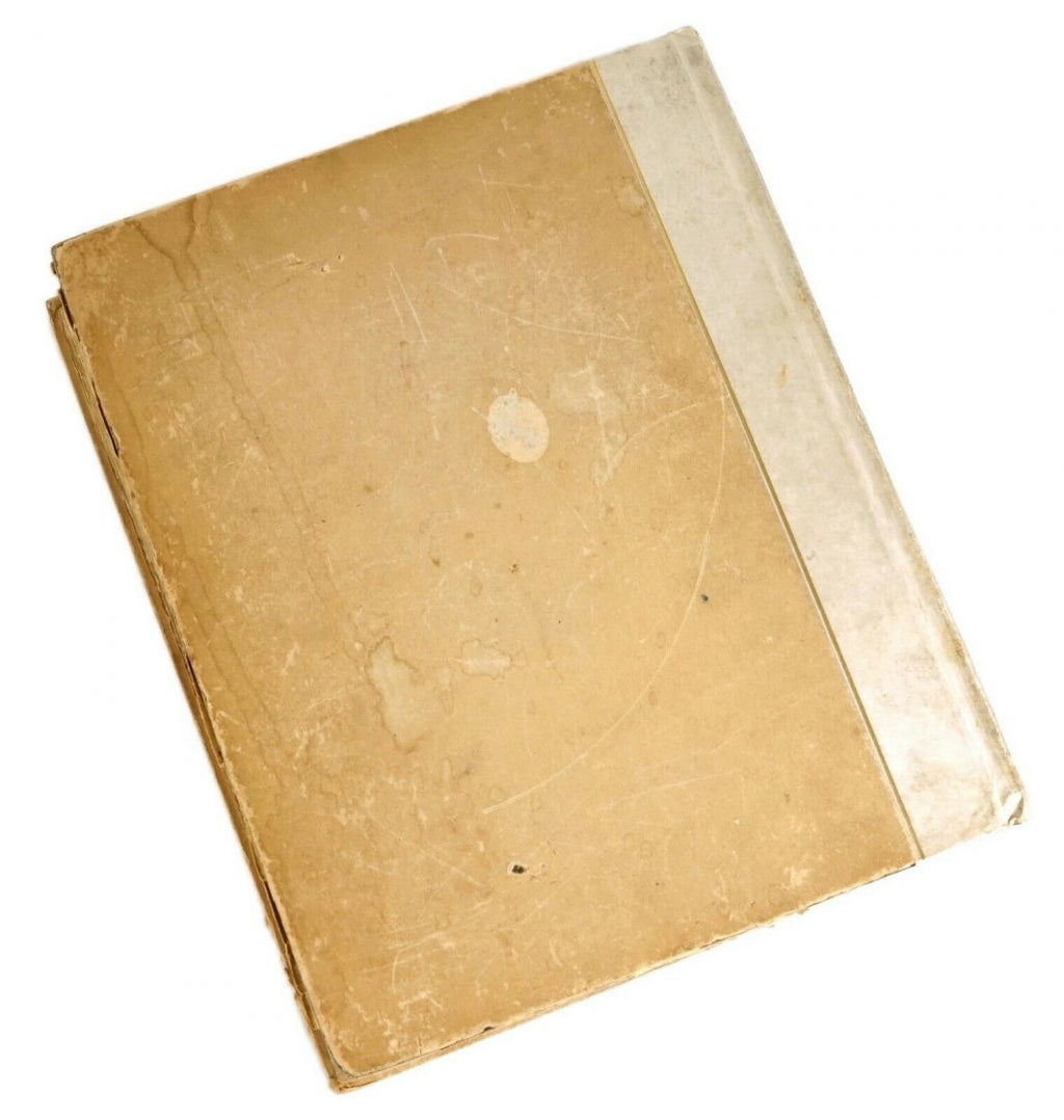 James Stephens -Irish Fairy Tales- 1920, Illustrated By Arthur Rackham ...