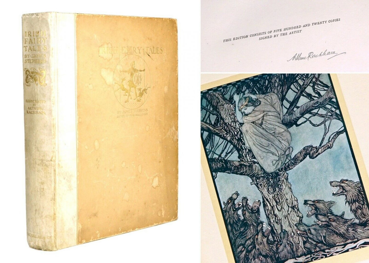 James Stephens -Irish Fairy Tales- 1920, Illustrated By Arthur Rackham ...