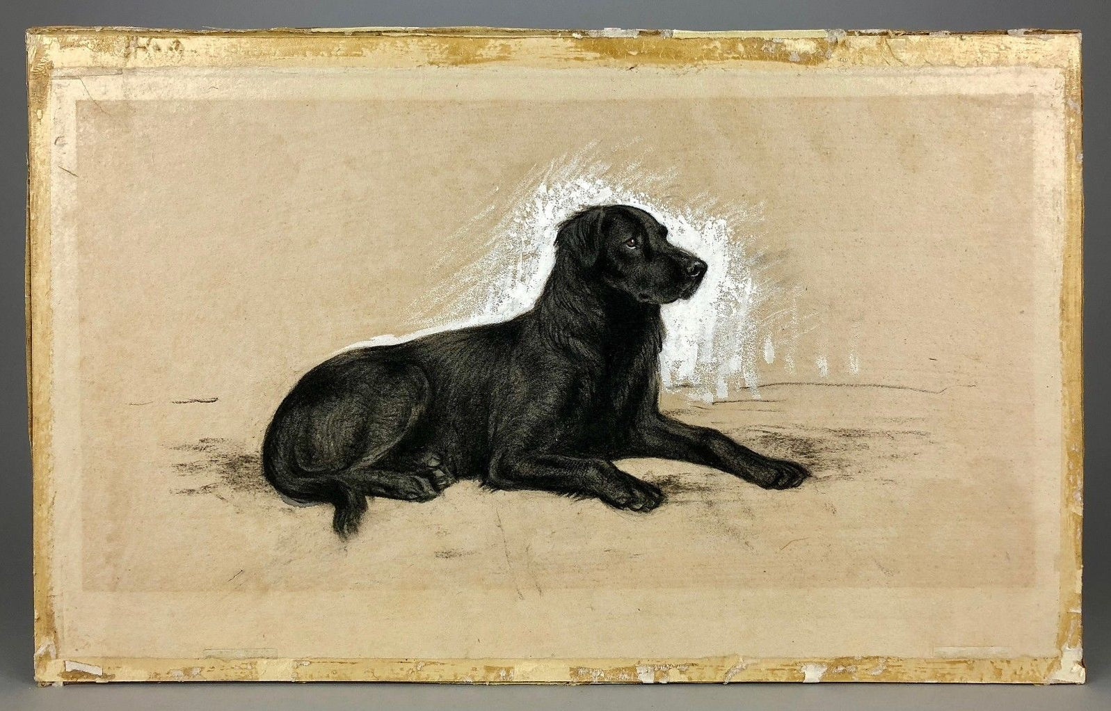 Lucy Vere Temple (1898-1980) -Broughton Dan- Labrador Retriever ...