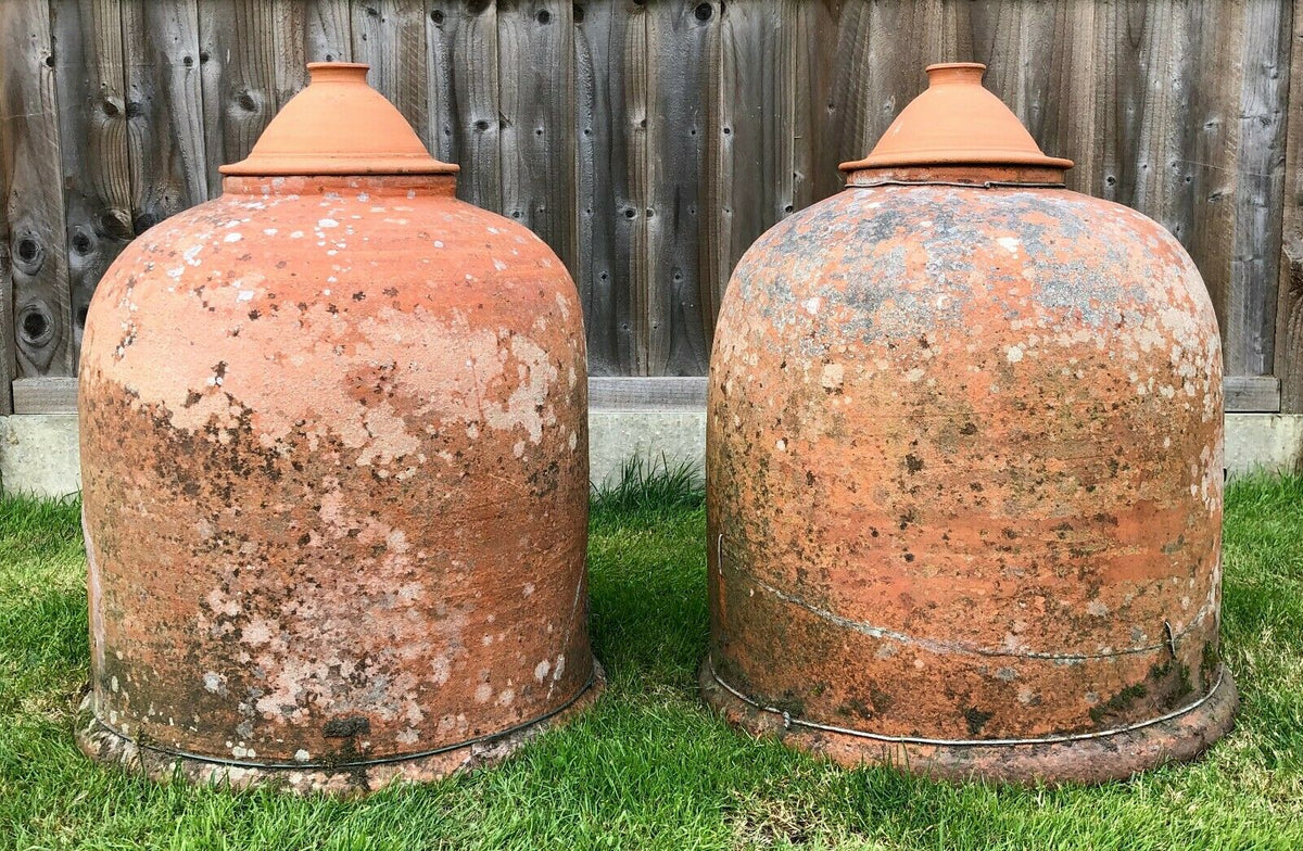 Pair Of Large Terracotta Rhubarb Cloche Forcers With Lids — PM Antiques ...