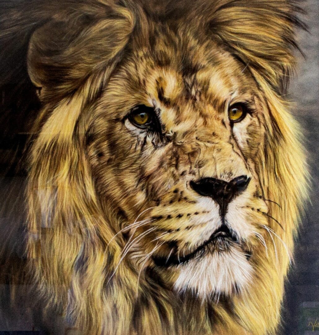 Valerie Simms (British, B.1965) -Golden Locks- Lion Animal Study ...