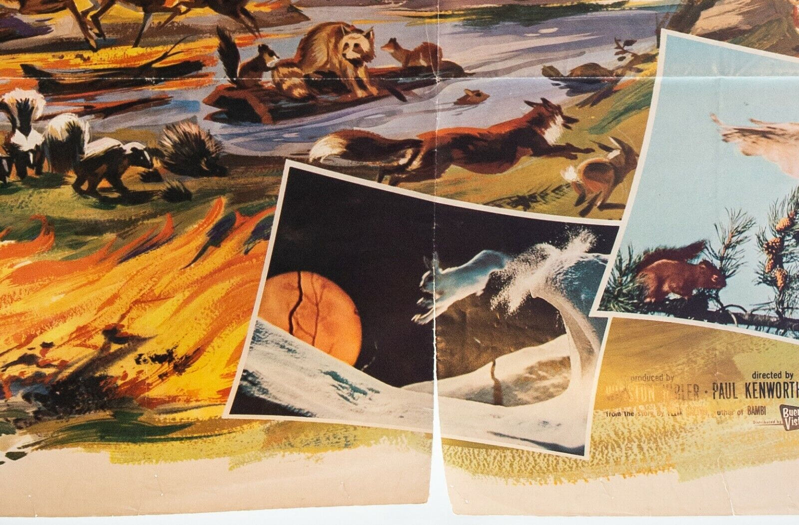 WALT DISNEY, THE STORY OF PERRI (1957) - US ONE SHEET FILM MOVIE CINEM ...