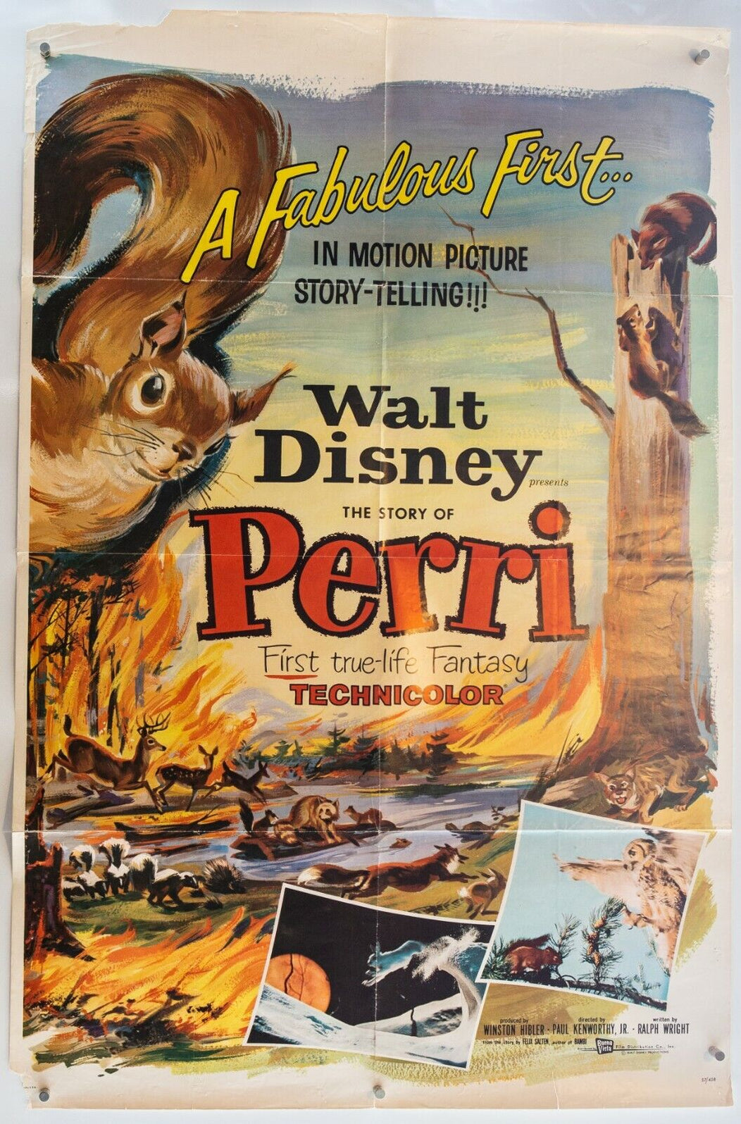 WALT DISNEY, THE STORY OF PERRI (1957) - US ONE SHEET FILM MOVIE CINEM ...
