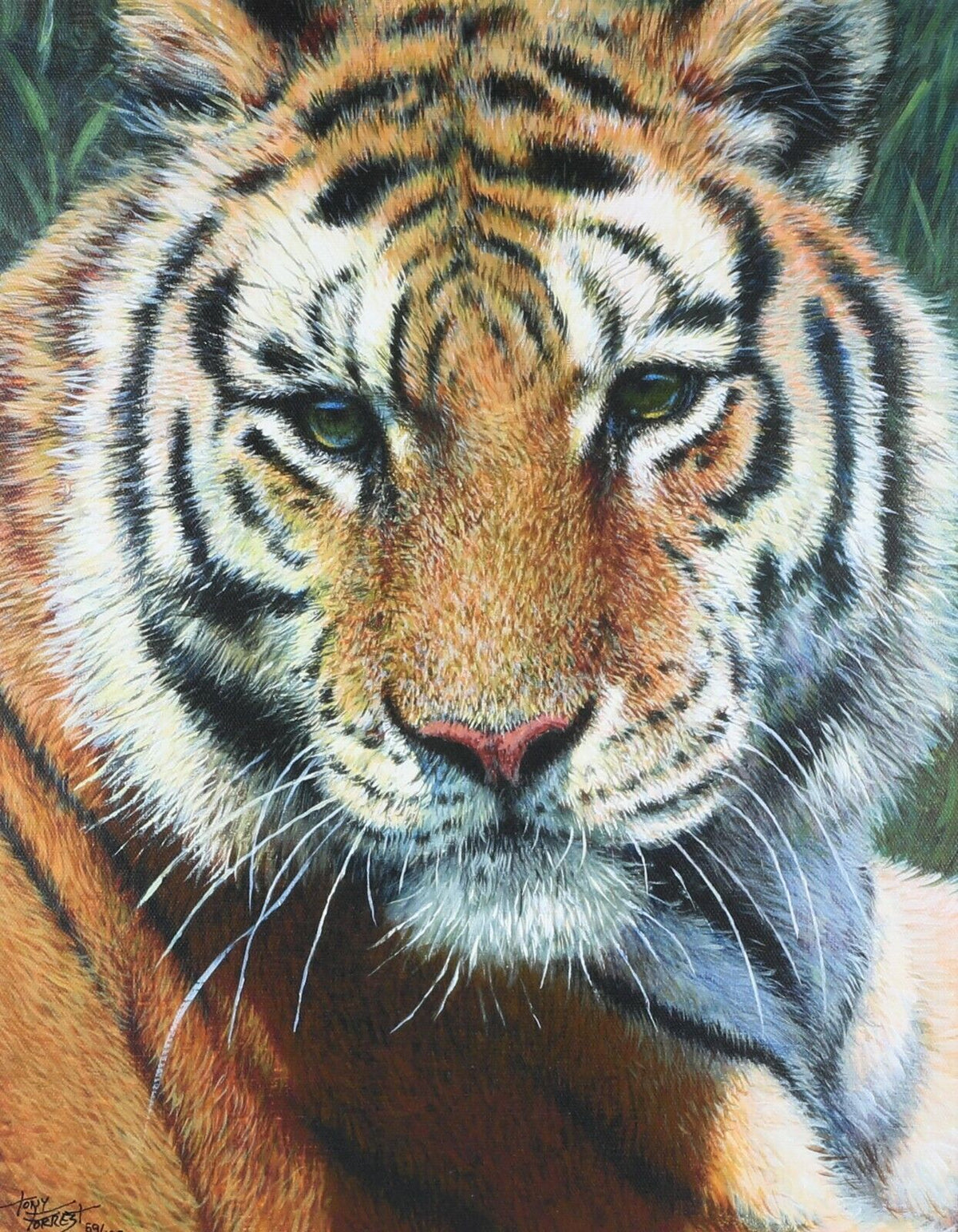 Tony Forrest 'Wild Thing' Limited Edition Tiger Print, 59/195 — PM ...