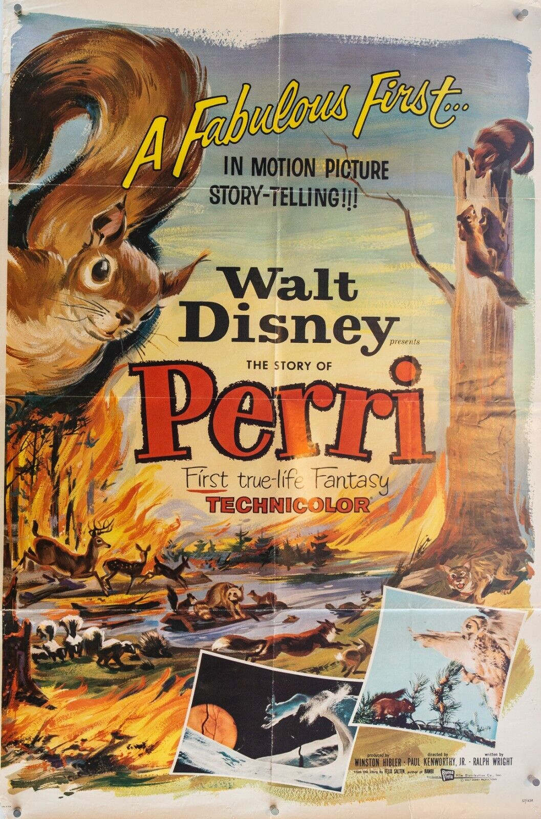 WALT DISNEY, THE STORY OF PERRI (1957) - US ONE SHEET FILM MOVIE CINEM ...