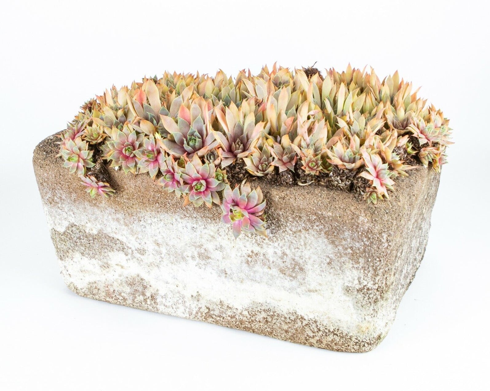 Reconstituted Stone Rectangular Planter Urn Trough Vase Garden Ornament — PM Antiques & Collectables