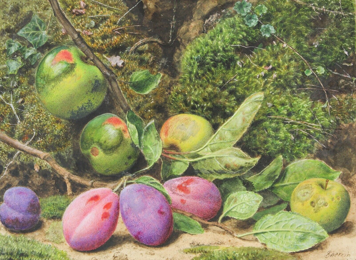 John Sherrin - Still Life Study Of Fruit & Foliage, Watercolour, Signed ...